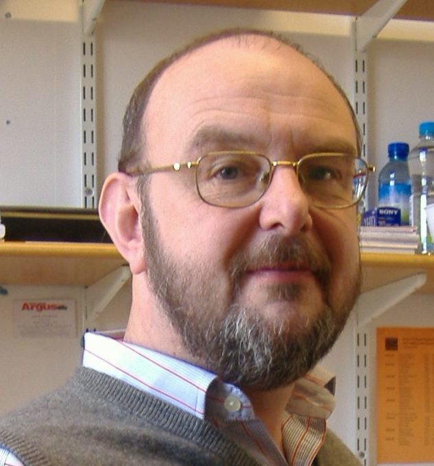 Strengthening the housing policy – evidence relationship - WHQ - WHQ